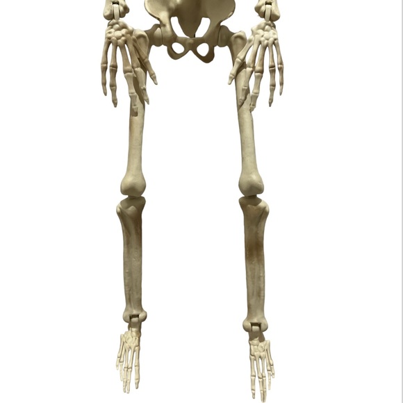 Skulls | Accents | 3 Foot Skeleton Posable Joints Scary Halloween ...